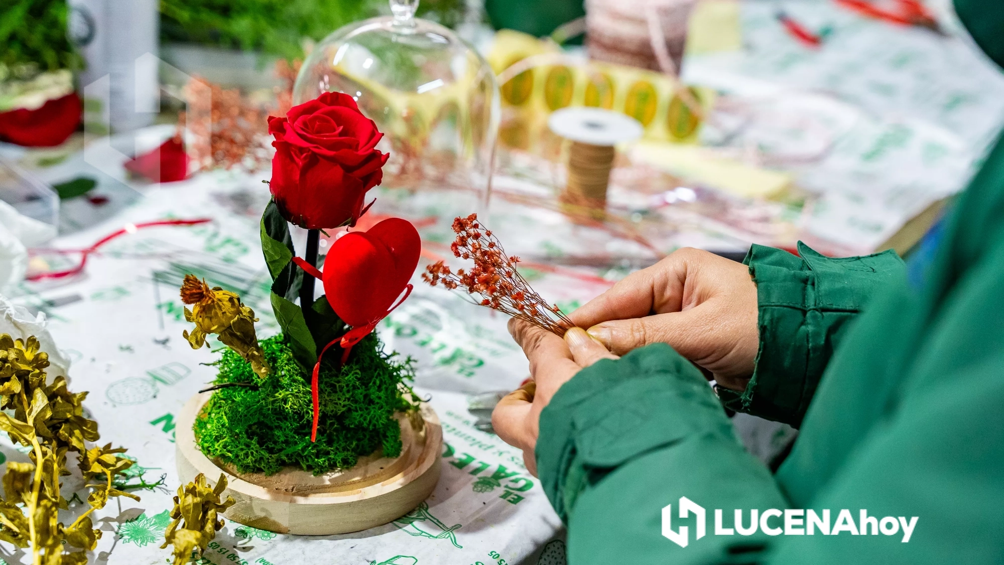 San Valentín: Díselo con flores